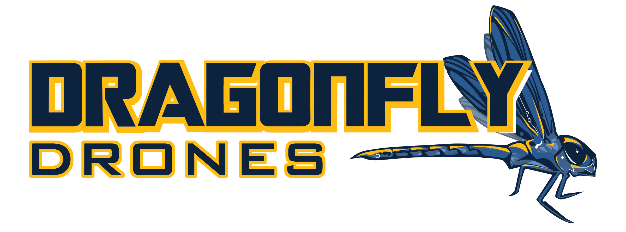 Portfolio – Dragonfly Drones